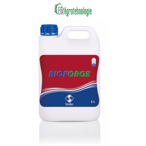 Agromag - Marketplace-ul agricol #1 în Moldova